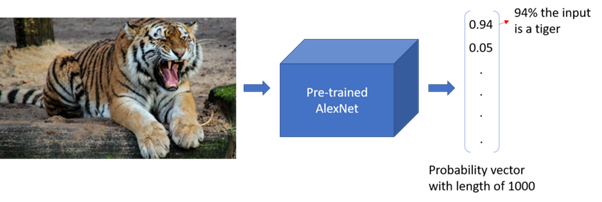 PyTorch: Directly use pre-trained AlexNet for Image Classification and Visualization of the ...