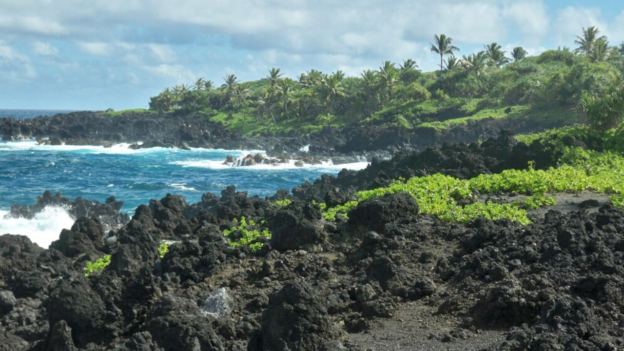 Exploring Universal Studios Hollywood: A Must-Visit Destination for ...