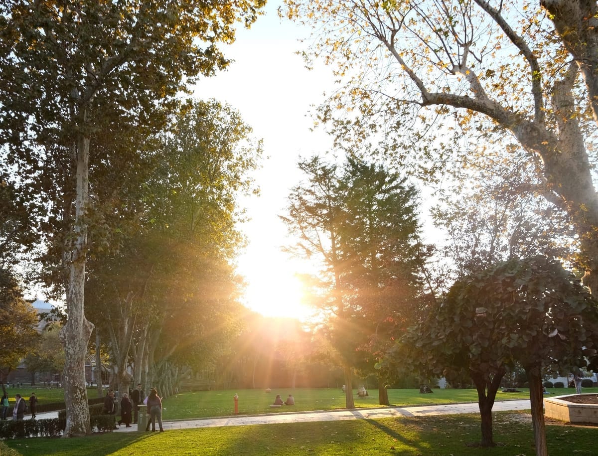 EF Core 8 — Enhancements to JSON column mapping | by ABP.IO | abp-community | Medium