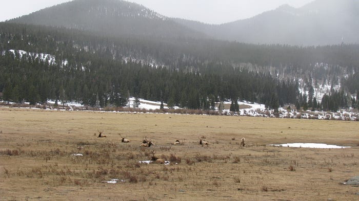 Monitoring Spring Boot with Prometheus & Grafana: A Step-by-Step Guide ...