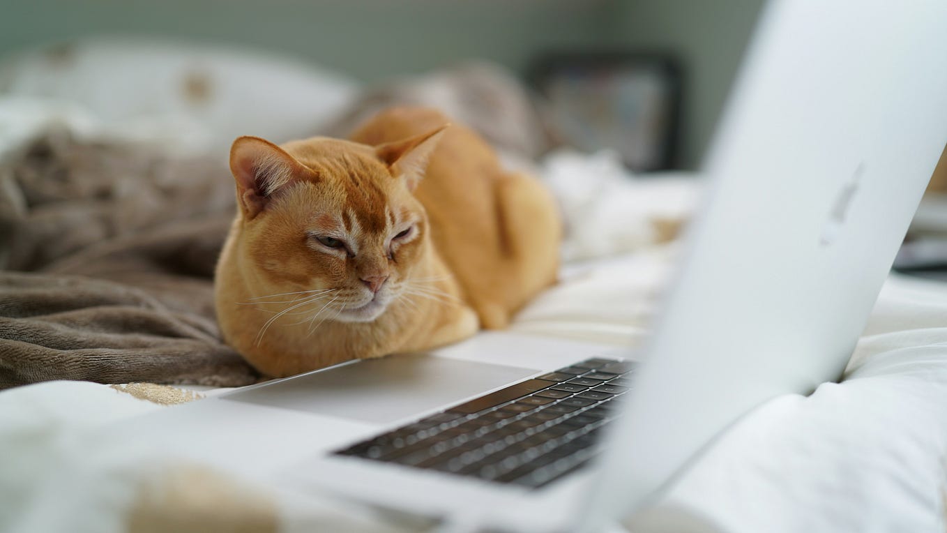 How to use ChatGPT in product design: 8 practical examples | by Nick ...