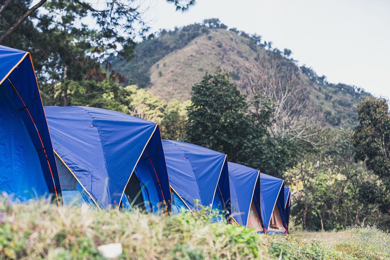 Luxurious Getaways Camping in the Enchanting Scenes of Mussoorie and ...