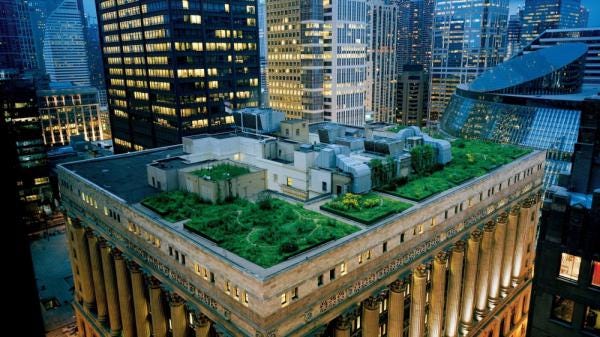 Detroit — Turning Red into Green. Detroit farmers are reshaping the ...