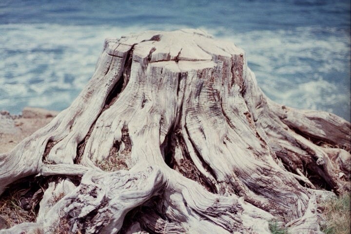 Death to Complexity: How we Simplified Advanced Search | by Ali Torbati ...