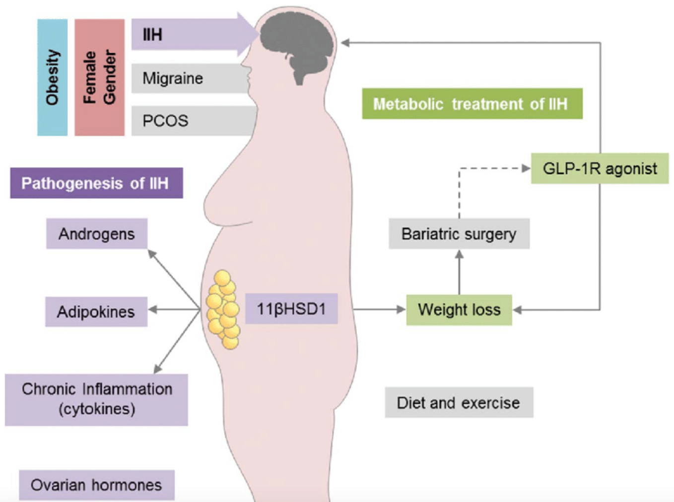 Creutzfeldt Jakob Disease (CJD). What is Creutzfeldt Jakob Disease? | by Aditya Bagwe | Medium