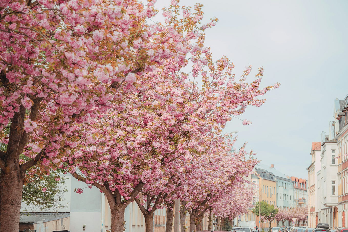 It means alot to know that quietly feelings I tried to express reached ...