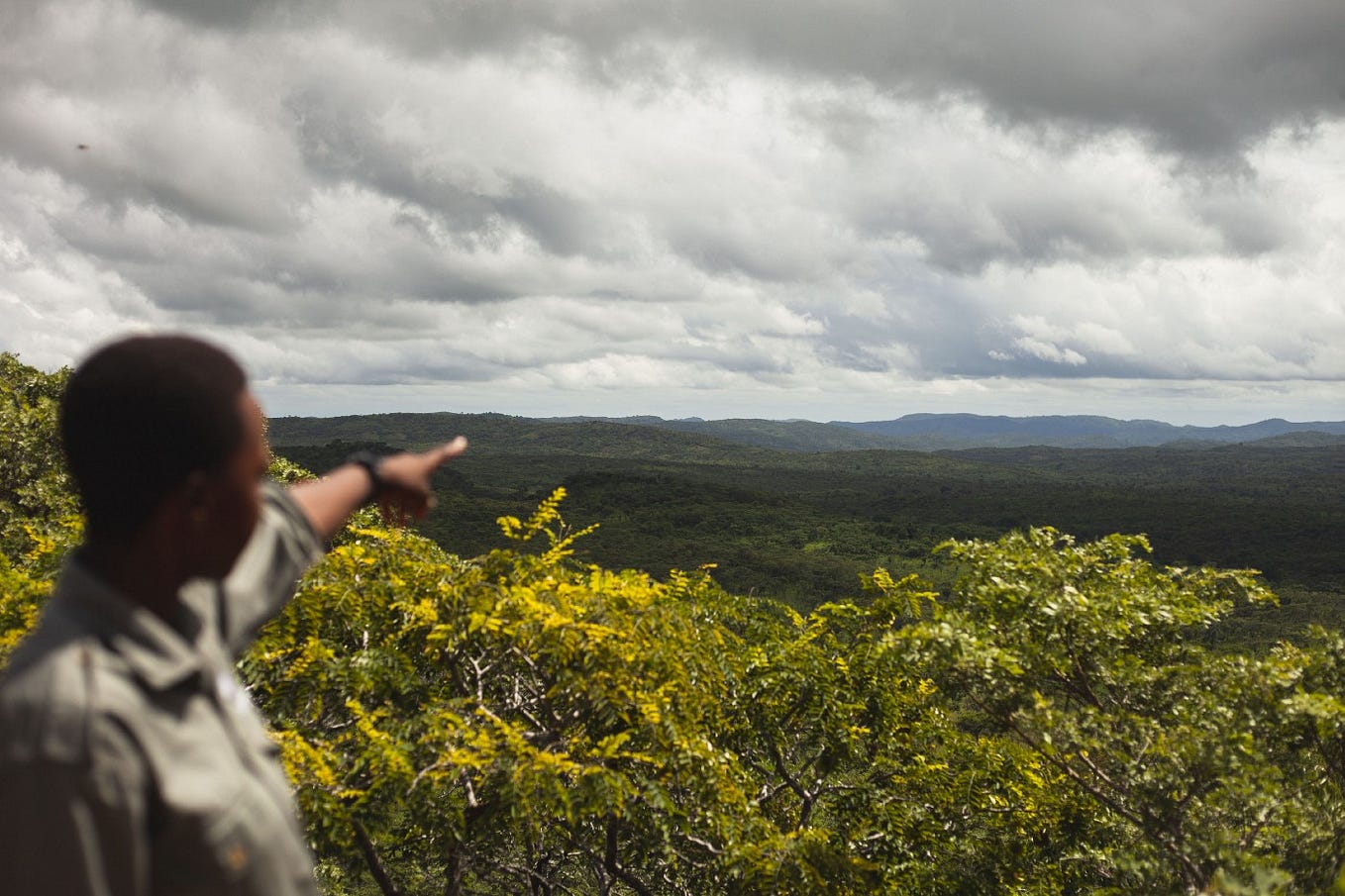 Understanding the importance of Zimbabwe’s wetlands | by UNDP Zimbabwe ...