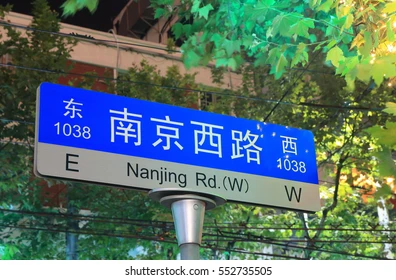 The Extinction of the Stomach and What It Says About Society | by Yiru ...