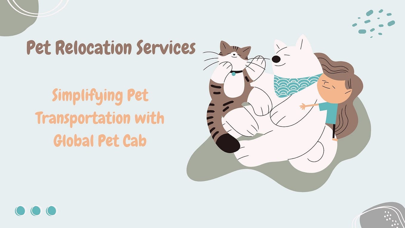 Your Guide to International Pet Transport: Everything You Need to Know ...