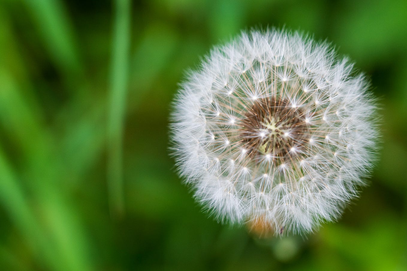 A Glass of Kindness: The Unexpected Reward of a Small Good Deed | by ...