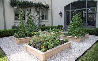 Unlocking Garden Magic: The Benefits of Trellises | by Michelle Dee ...