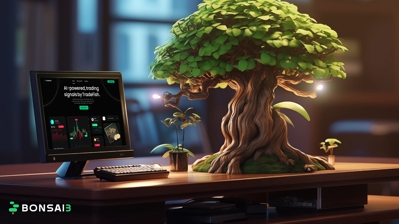 Founder Support Program: Another Reason To Launch On Bonsai3 | by Bonsai3 | Dec, 2023 | Medium