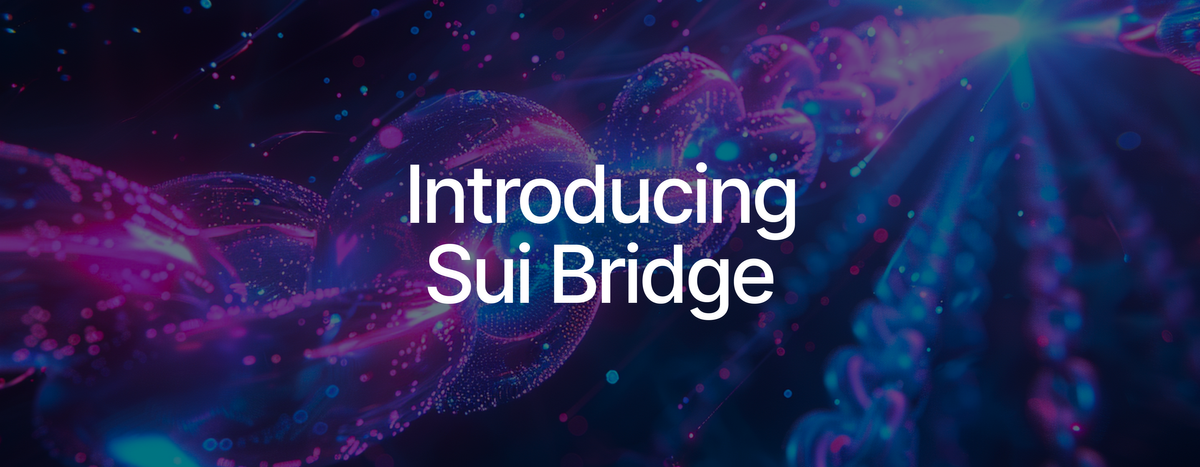 手把手教你使用Sui Wallet（保姆级教程）. Sui… | by Sui Network | Sui Network CN | Medium