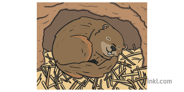 Hibernate Managing Transactions In Spring With Transactional Annotation Handling Nested