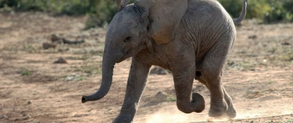 Creating an inline editable grid with PHP and MySql | by Jorge Castro | Cook php | Medium