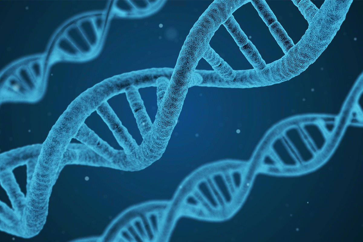 InceptionResNetV2 Simple Introduction | by Zahra Elhamraoui | Medium