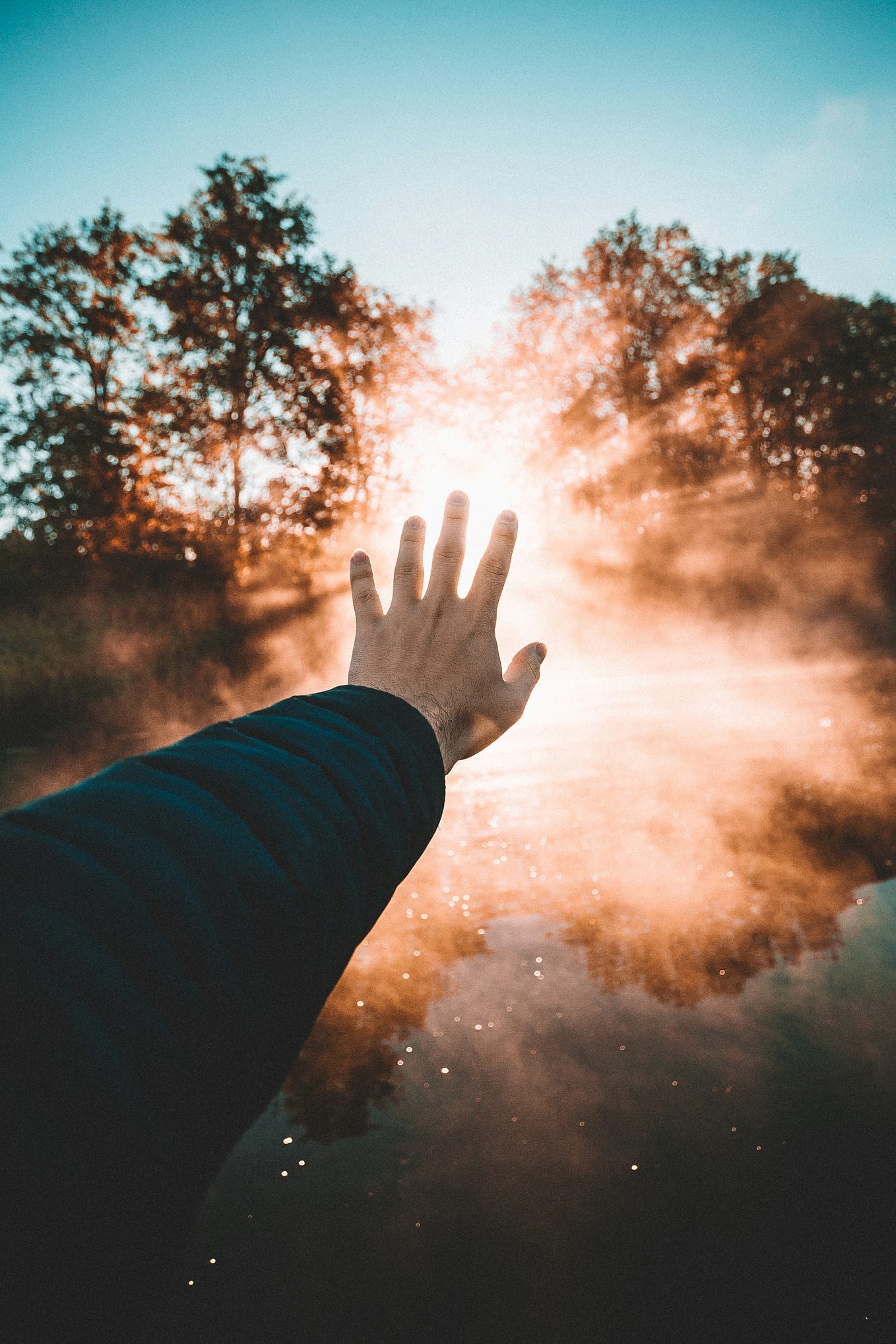 Hide Header On Scroll Down Show On Scroll Up By Marius Craciunoiu