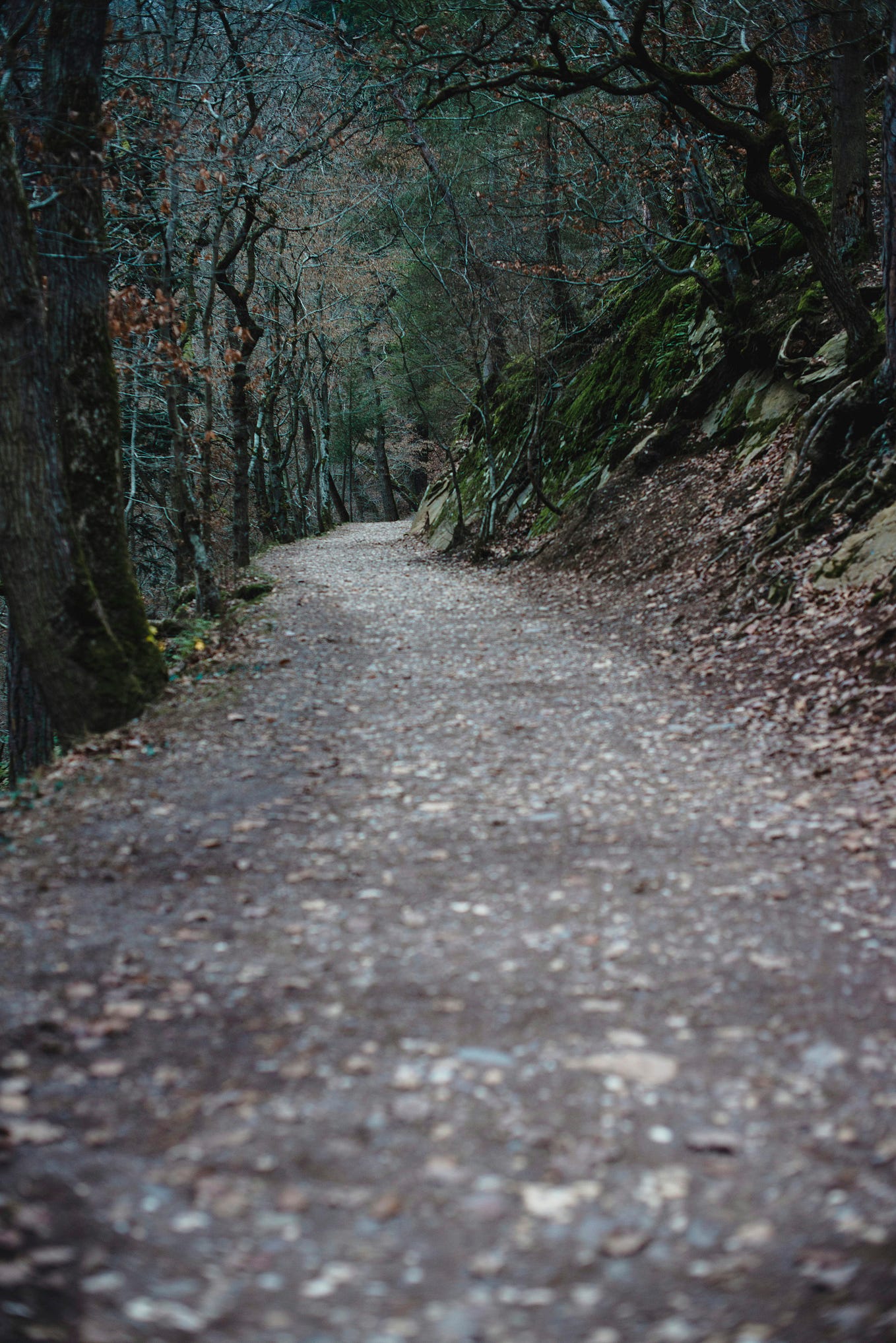 Eckhart Tolle’s Simple, Powerful Spiritual Practice He Recommends For ...