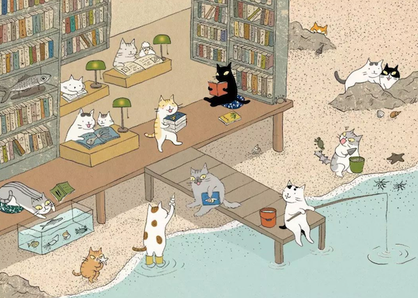 Things That Make the Librarian Angry | by Jessamyn West | today in ...