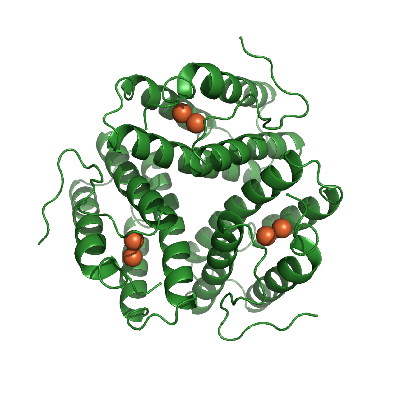 Understanding Stress-Triggered Phase-Separation in Eukaryotes | by ...