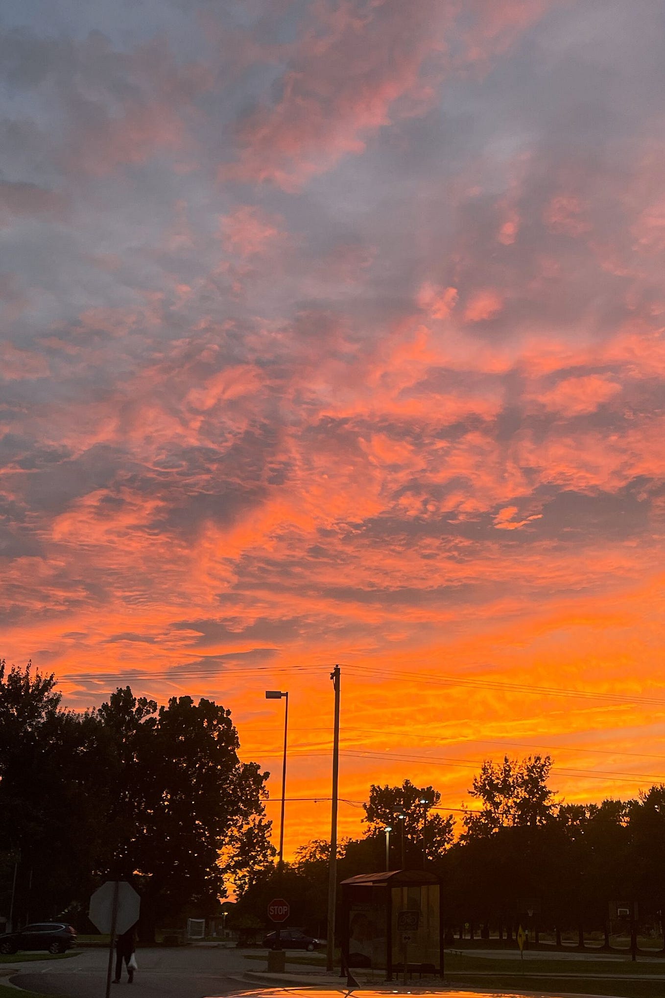 Behind NIKI’s Colossal Loss, the Anthem of Betrayal | by mae | Medium