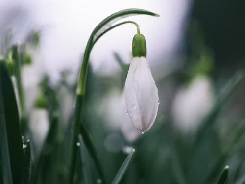 Spring Boot Spring Mvc Spring Security Mysql By Gustavo Ponce Medium