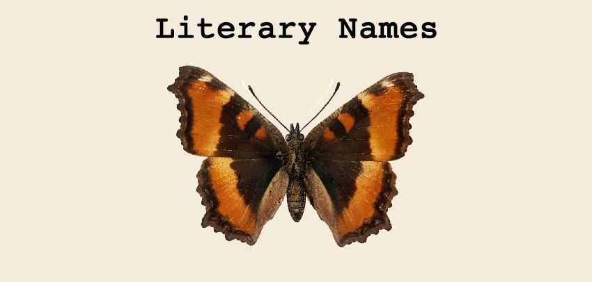 52 Words That Sound Dirty But Aren’t | by Alexander Atkins | Cellar ...