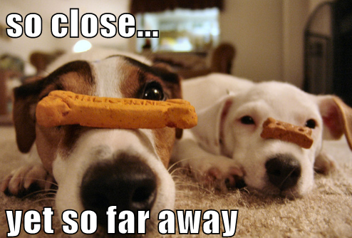 Postgres concurrency, locks and isolation levels | by Zeeshan Shamsuddeen | Medium