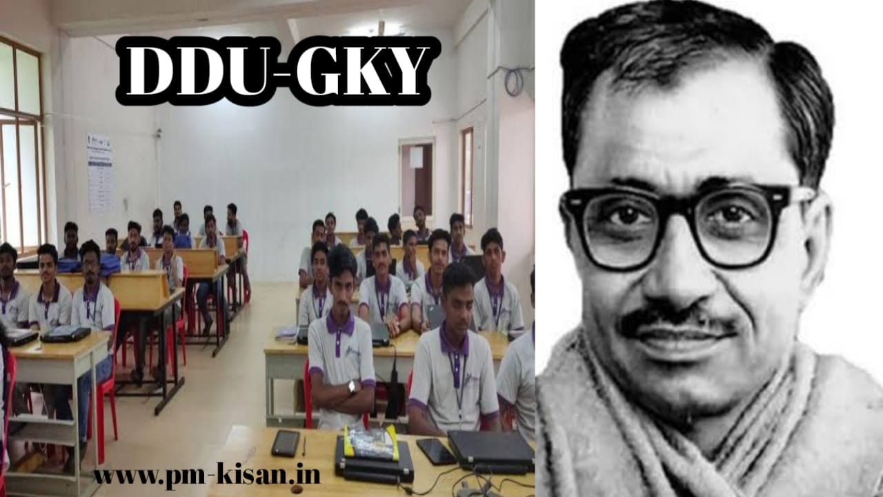 Punjab Free Electricity Scheme 2022. | by Pmkisanin | Medium