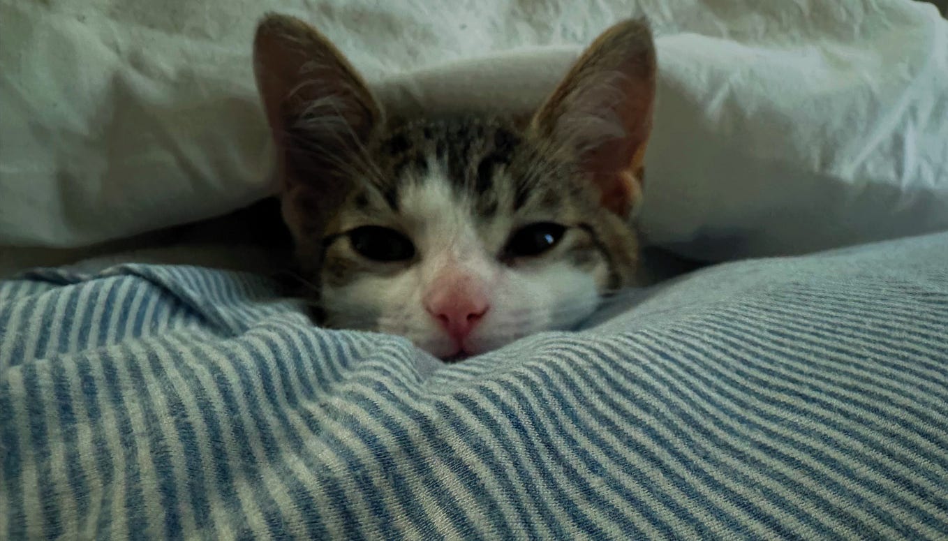 To a Sleeping Girl. To be loved is to strip yourself naked. | by Sydney Jones | Aug, 2024 | Medium