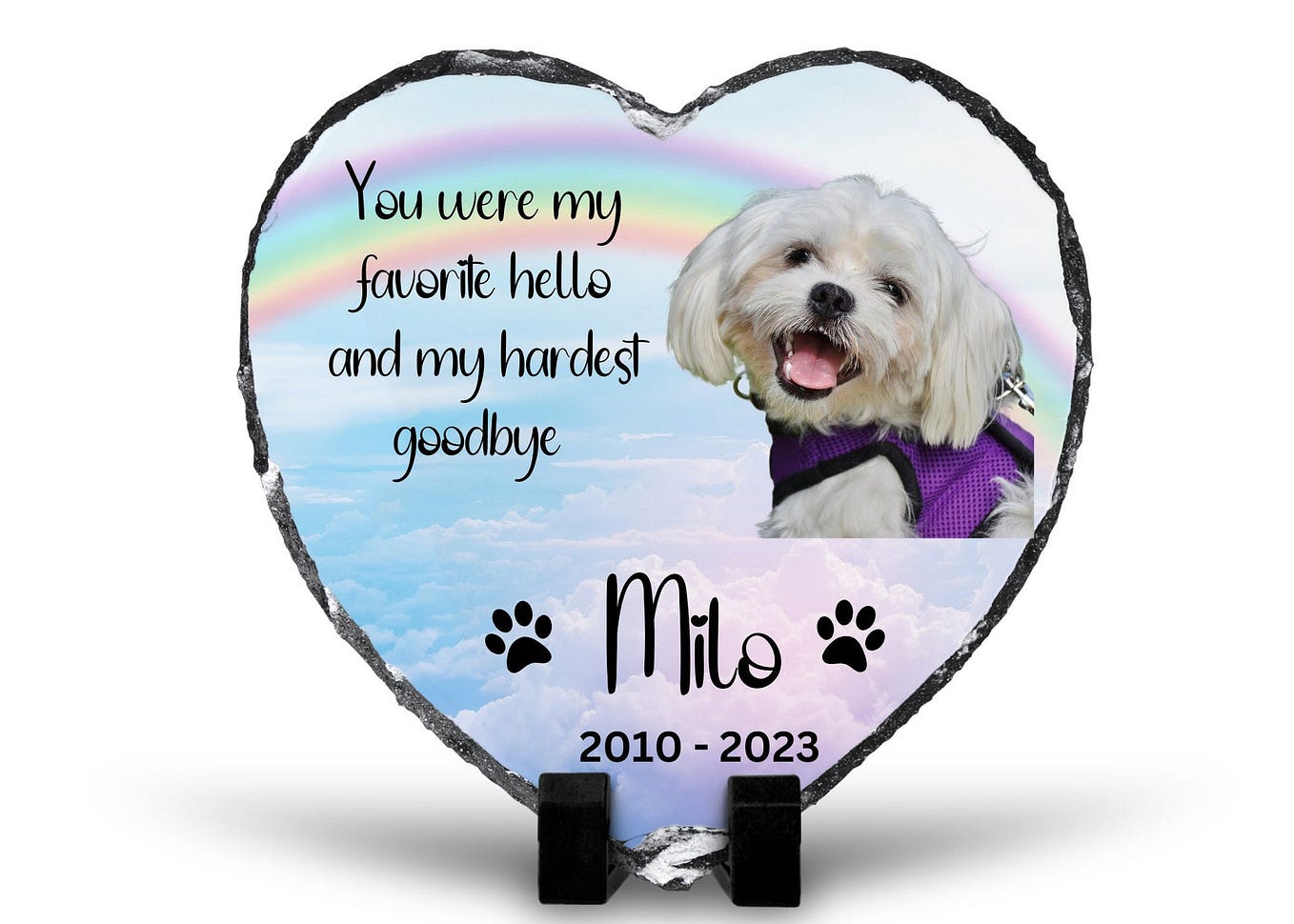Memorialize Your Pet with These One-of-a-Kind Pet Urns | by Pet ...