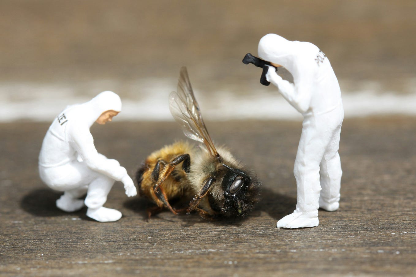 Identify Proper Apostrophe Use. Flying Commas are Manageable | by ...