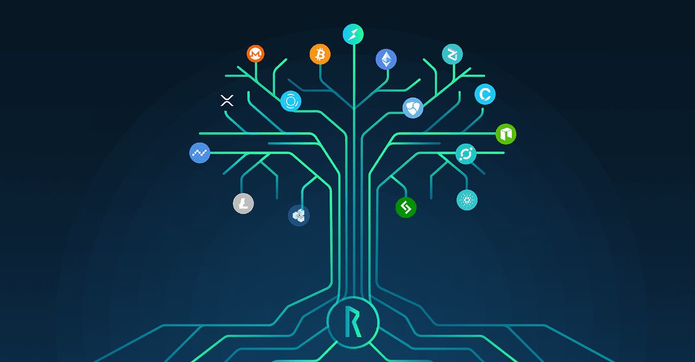 Neural Networks: A Beginner’s Guide | by Akash Gopal GS | Nov, 2024 ...