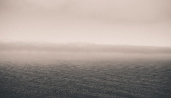 Customer Spotlight: Taylor Scollon | by Harpoon | Harpoon Blog | Medium