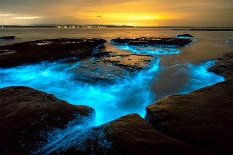 Best Bioluminescent Bay Fajardo Tours for an Unforgettable Experience ...