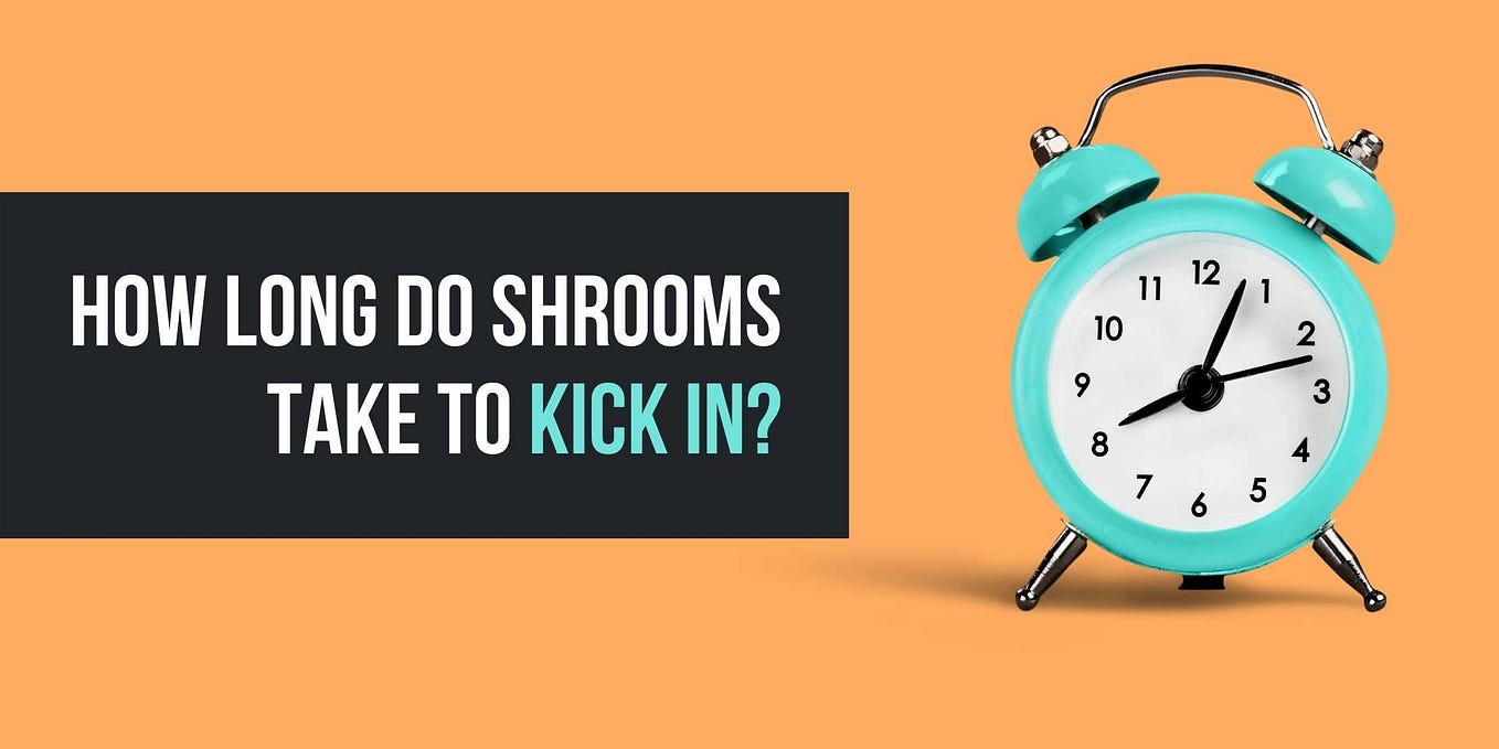 All You Need to Know About Sex on Shrooms | by Adam Adman | Mind ...
