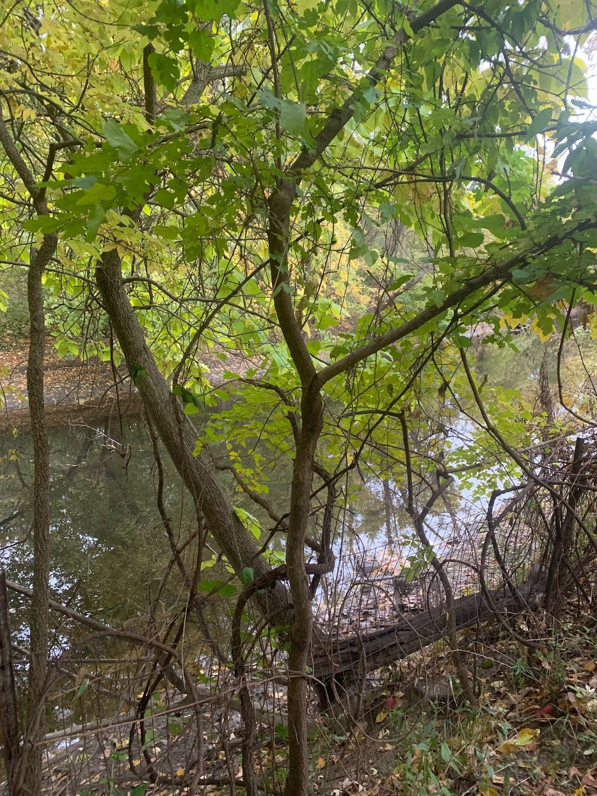 Secrets of the Long-lived!!. The World’s Longest-Living People’s 6 ...