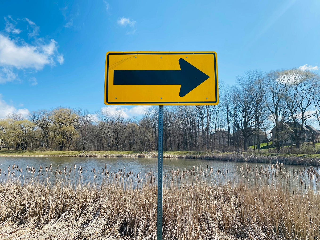Python Loop Control Statements — Break Continue And Pass Explained