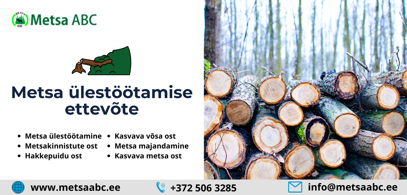 Metsa hooldus - Metsa ABC - Medium