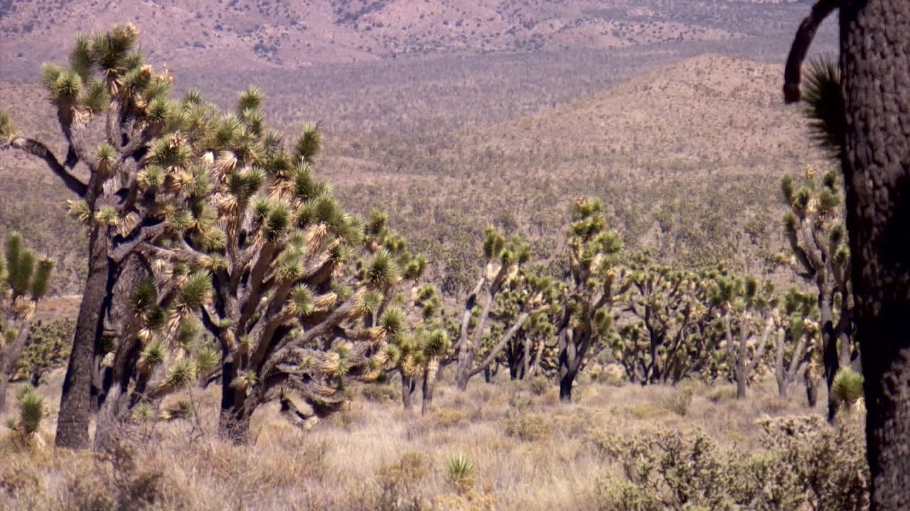 Ny Nosy Mena ~ The Great Red Island // FULLNEWYOUTUBEMOVIE // | by ...