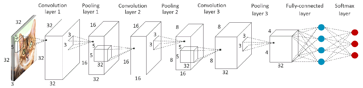 Classification of unlabelled images using KMeans, Transfer Learning ...