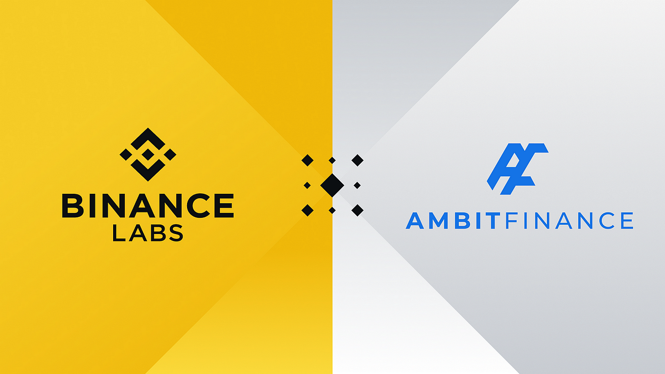 Ambit Finance. Binance Labs, the venture capital arm… | by Vovka | Jul ...