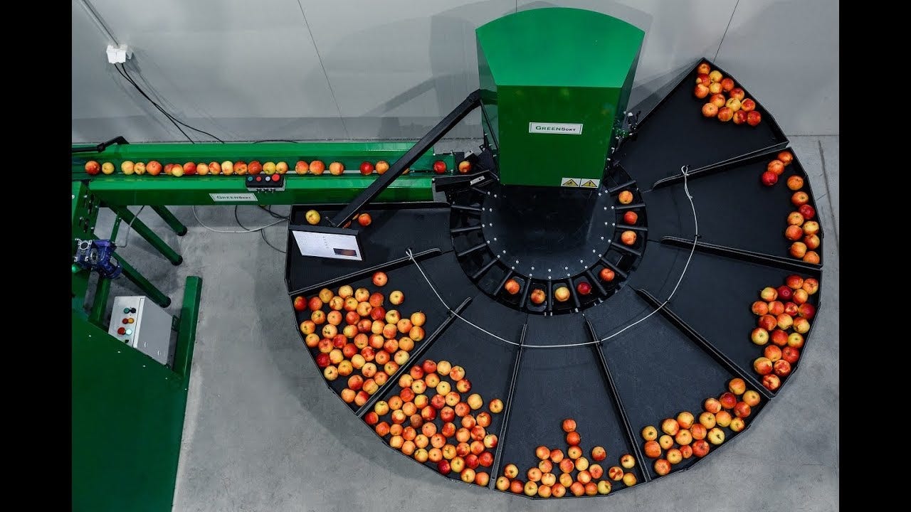 Beyond Size and Quality: How the Apple Weight Grading Machine ...
