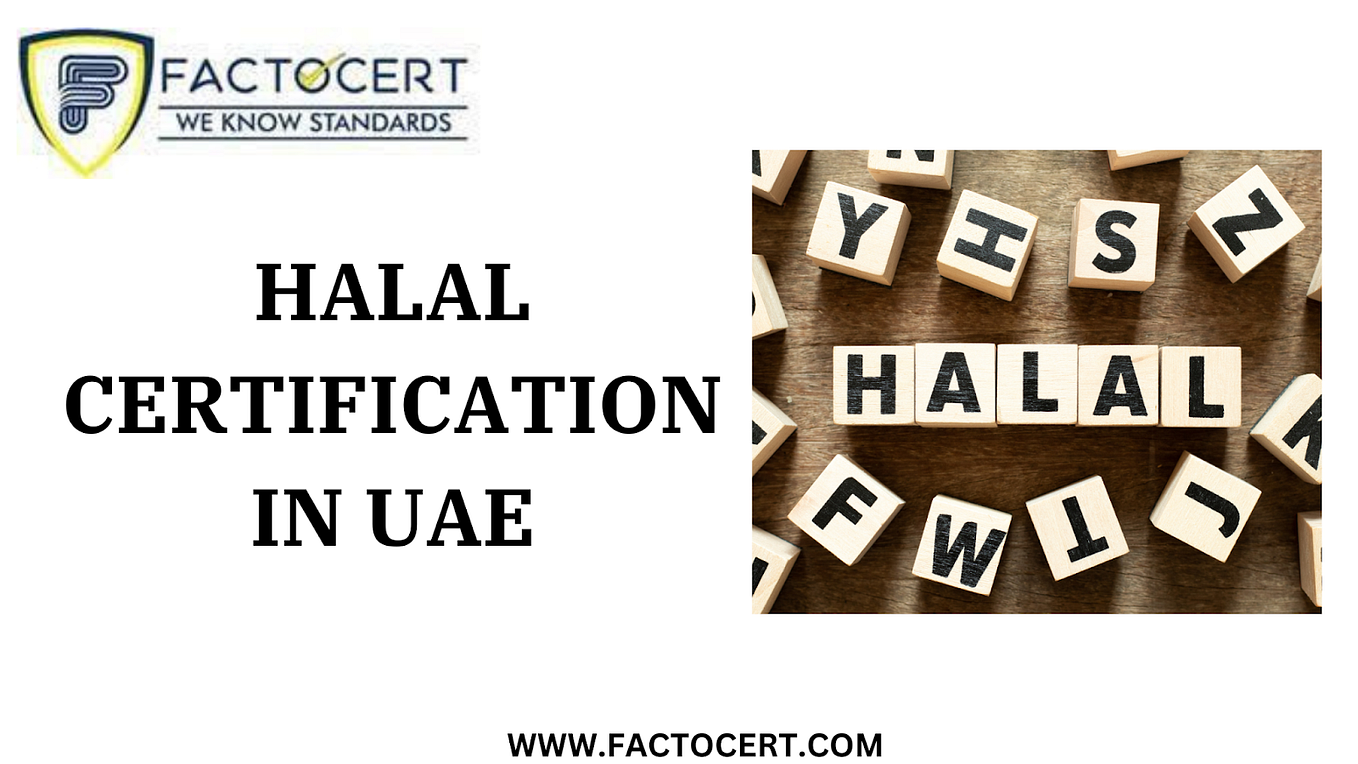 isoHow does UAE ISO 26000 Certification differ from SA8000? | by ...