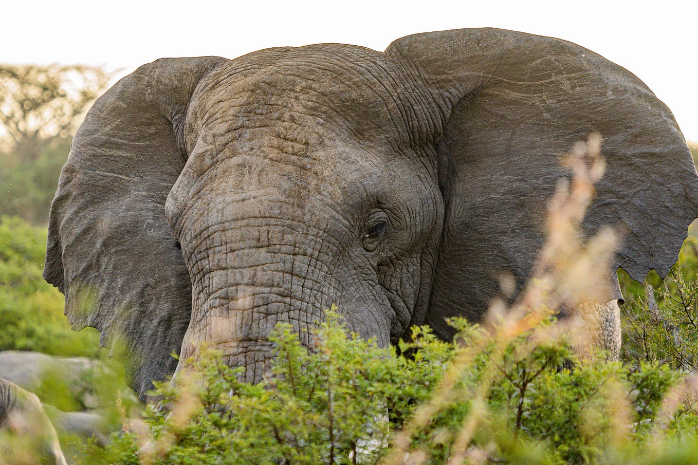 Designing The Most Performant Row Level Security Schema In Postgres By Caleb Brewer Medium
