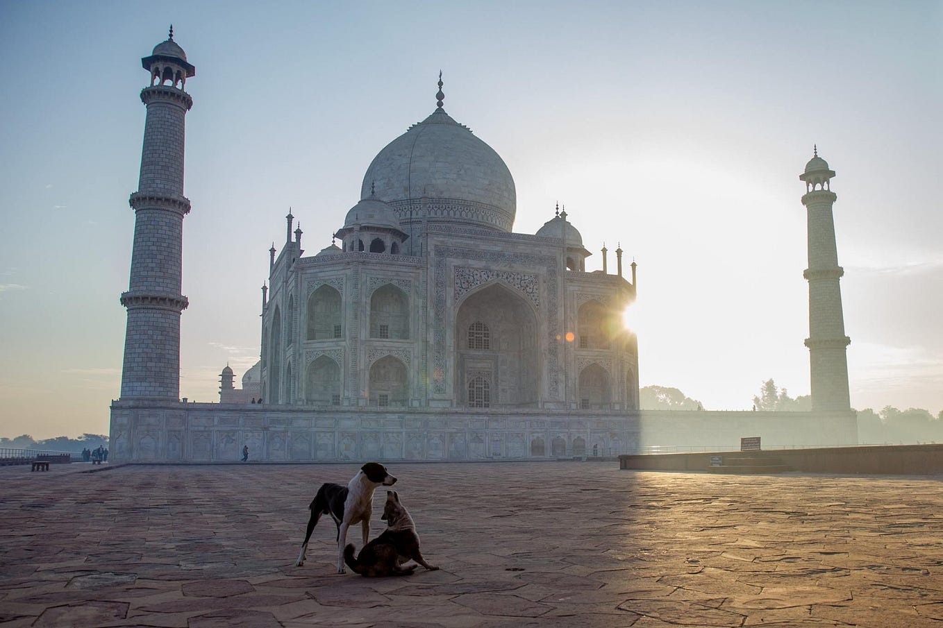 Worst To First: My Journey To Contention | by JR Smith | The Cauldron