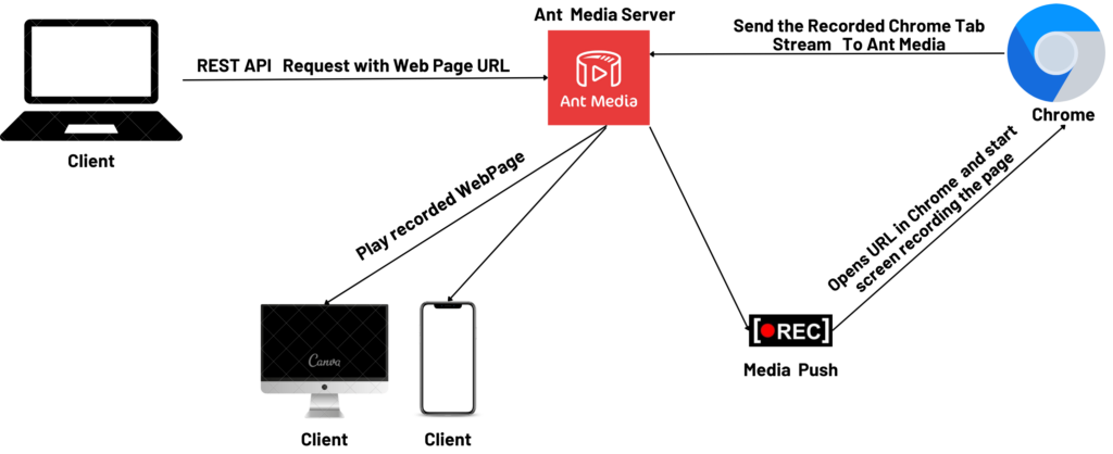 Cost Comparison — Dolby, Agora, Nanocosmos, AWS, Ant Media | by ALPER KIZILTOPRAK | Apr, 2024 ...