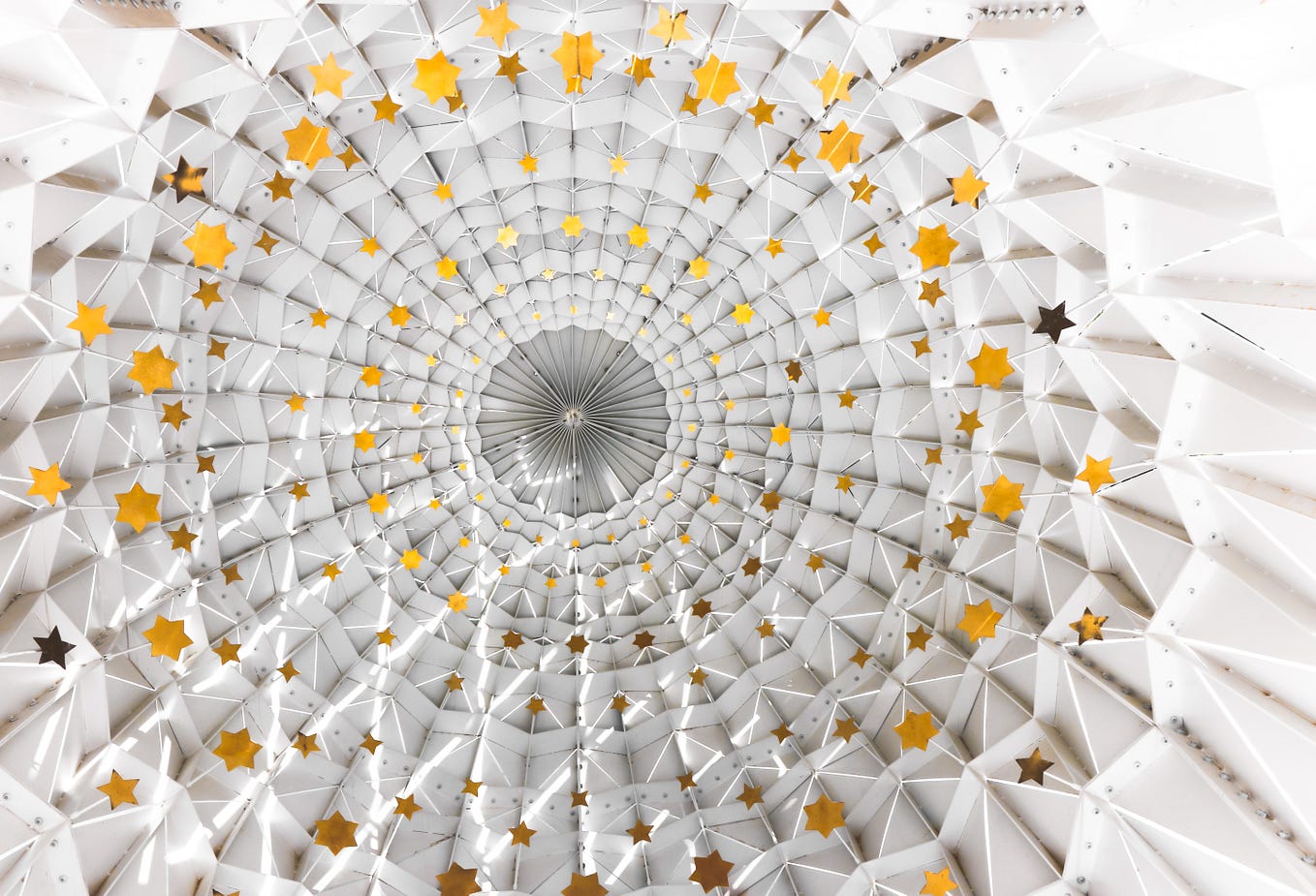 Learn to do Image Classification using Stochastic Gradient Descent and Random Forest Classifier ...