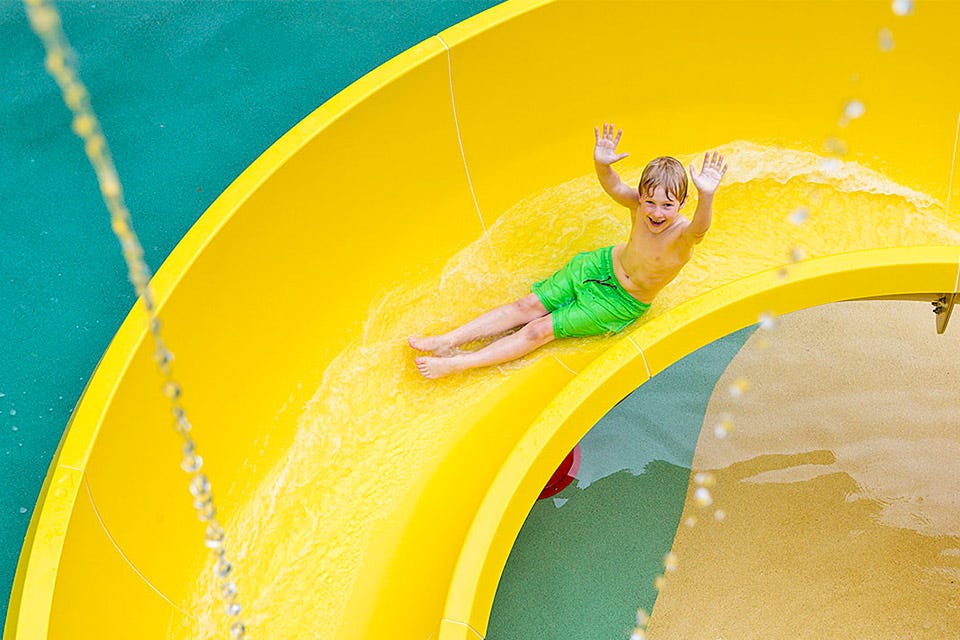 Disney Funbreak - Gold Crest Holidays - Medium