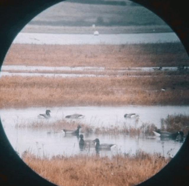 Using Jupyter Notebooks And Pandas With Azure Data Lake Store By Amit Kulkarni Azure Data